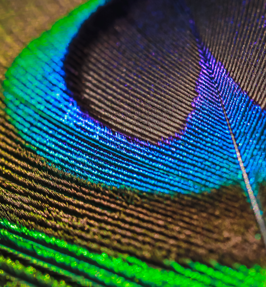 Palok - RiverInk Art